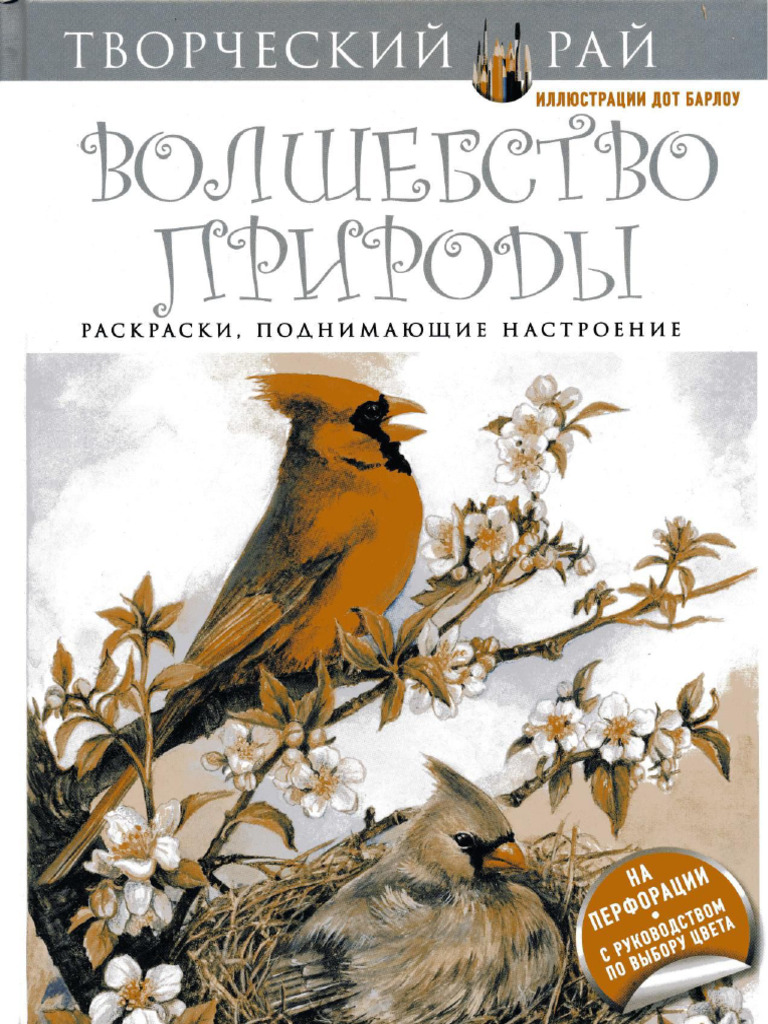 Volshebstvo Prirody | PDF