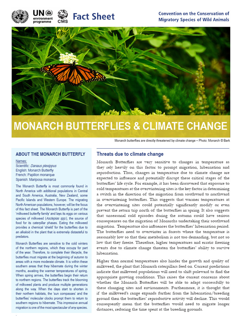 Fact Sheet Monarch Butterfly Climate Change | PDF | Butterfly | Earth ...