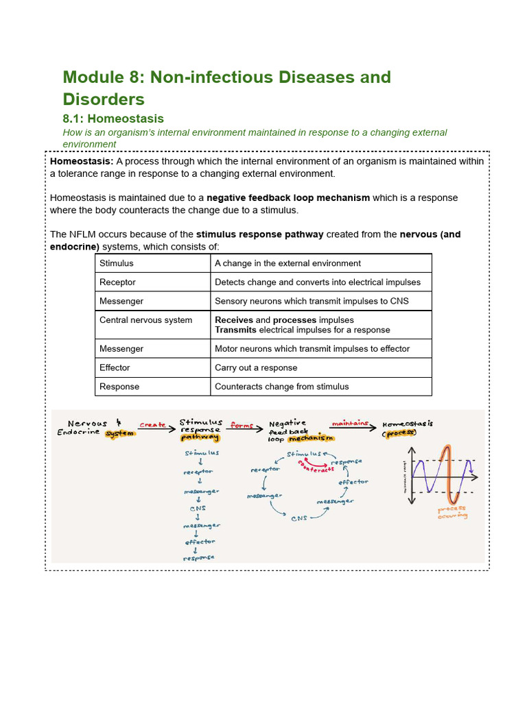 Module 8 Non Infectious Disease and Disorders Notes | PDF | Neuron | Axon