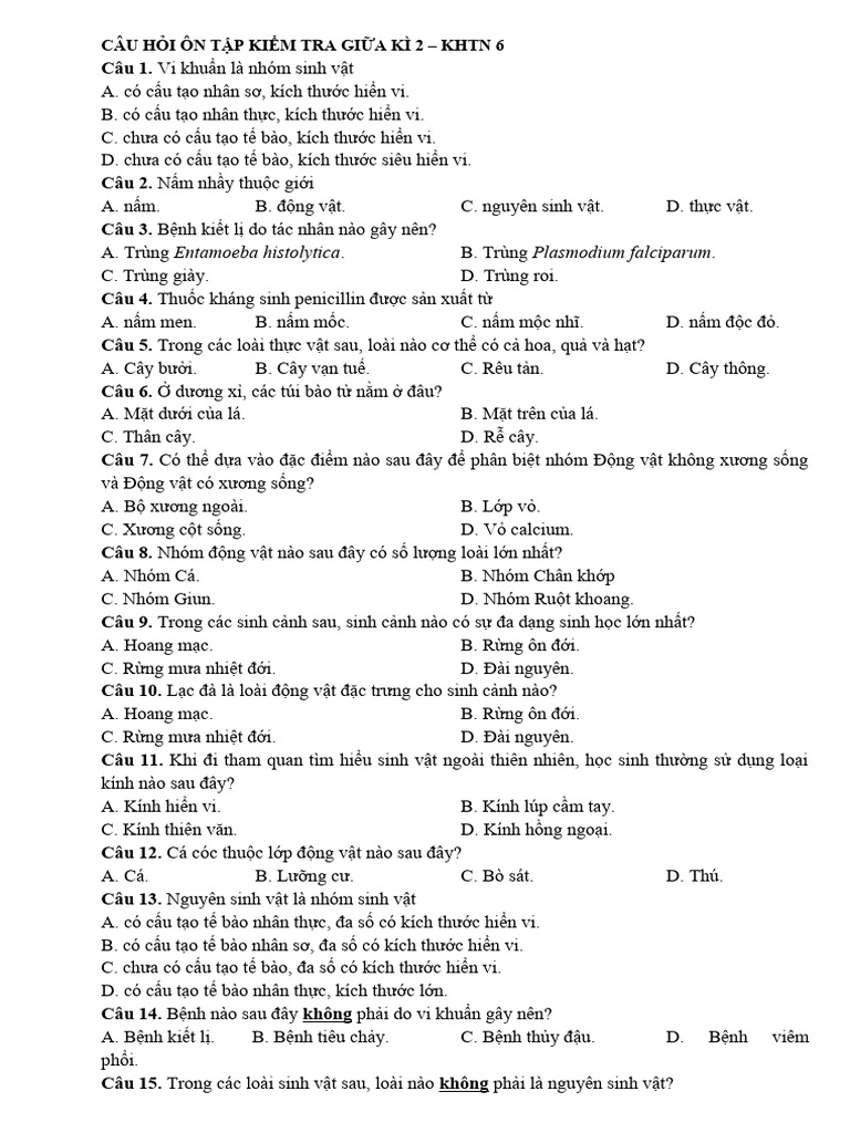 ÔN TẬP KHTN 6 - GK2 | PDF