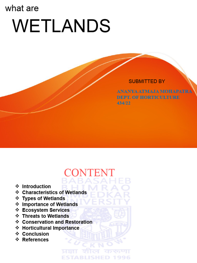 Presentation Ananya | PDF | Wetland | Swamp