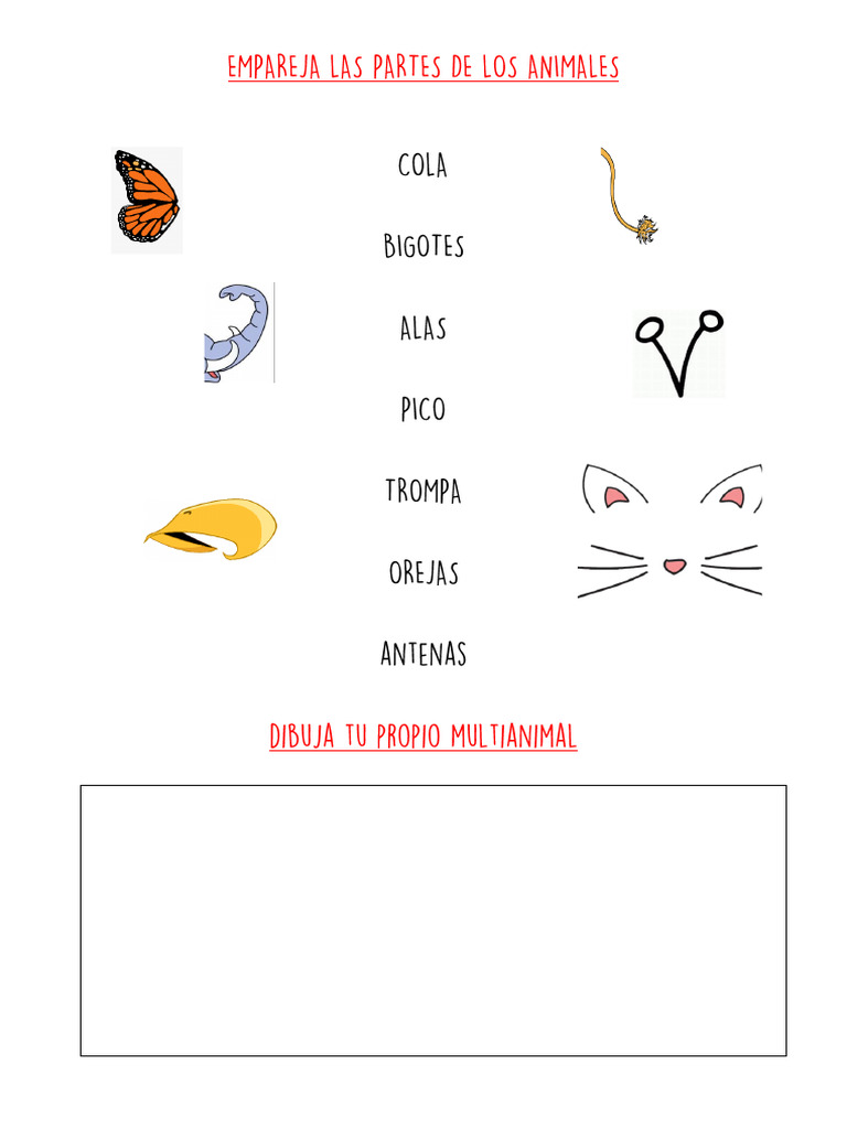 Partes de Animales - CUERPO | PDF