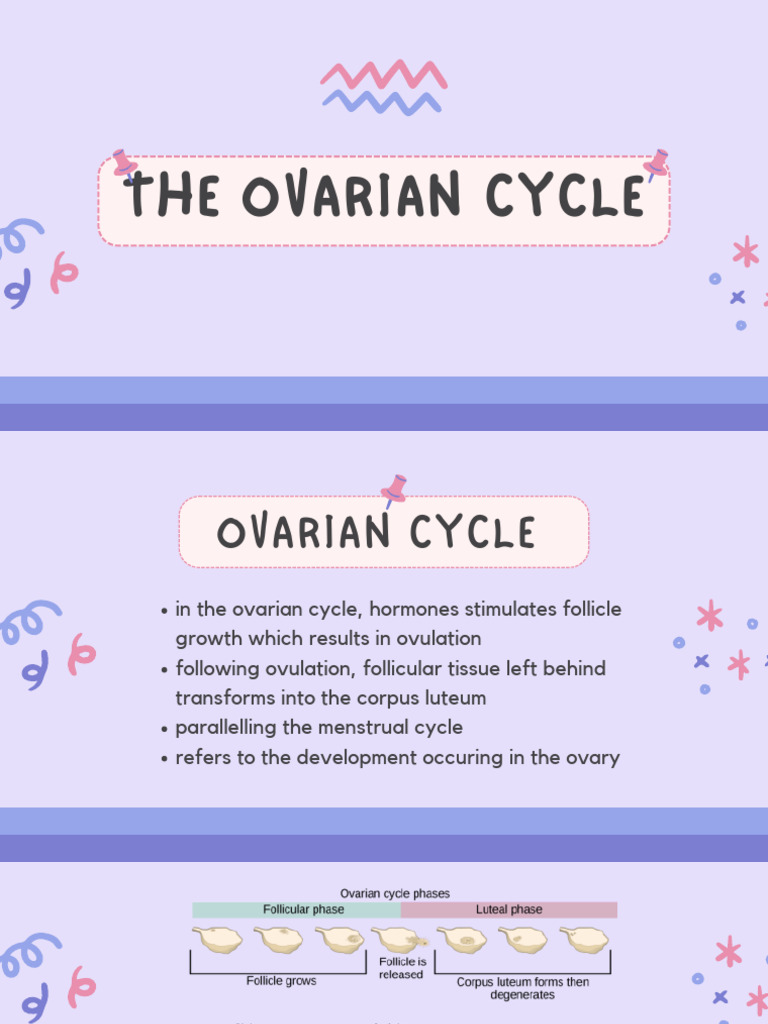 Ovarian Cycle | PDF | Self-Improvement | Wellness