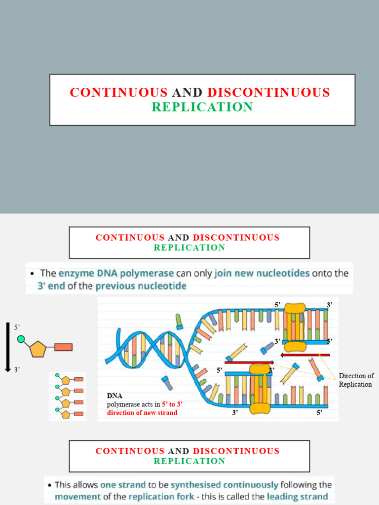 Continuous and Discontinuous Replication and Evidenc For Semi | PDF | Dna Replication | Dna