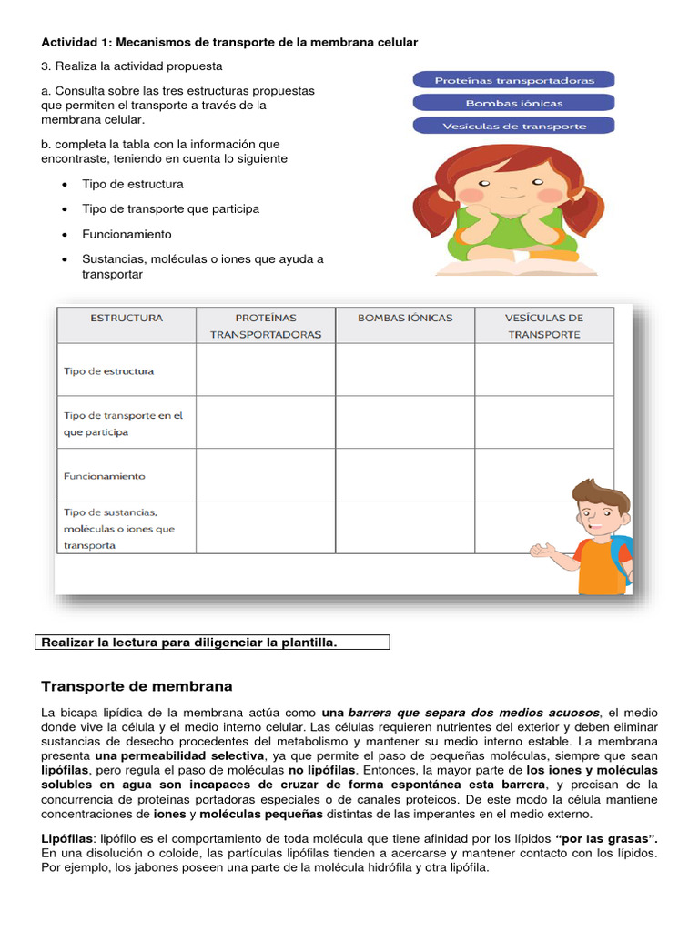 Orientacion Actividad # 1 7A-7B-7C | PDF | Bicapa lipídica | Biología ...