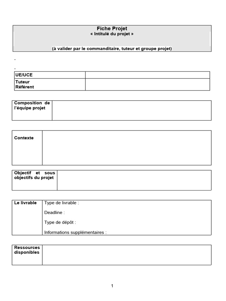 Fiche Projet | PDF