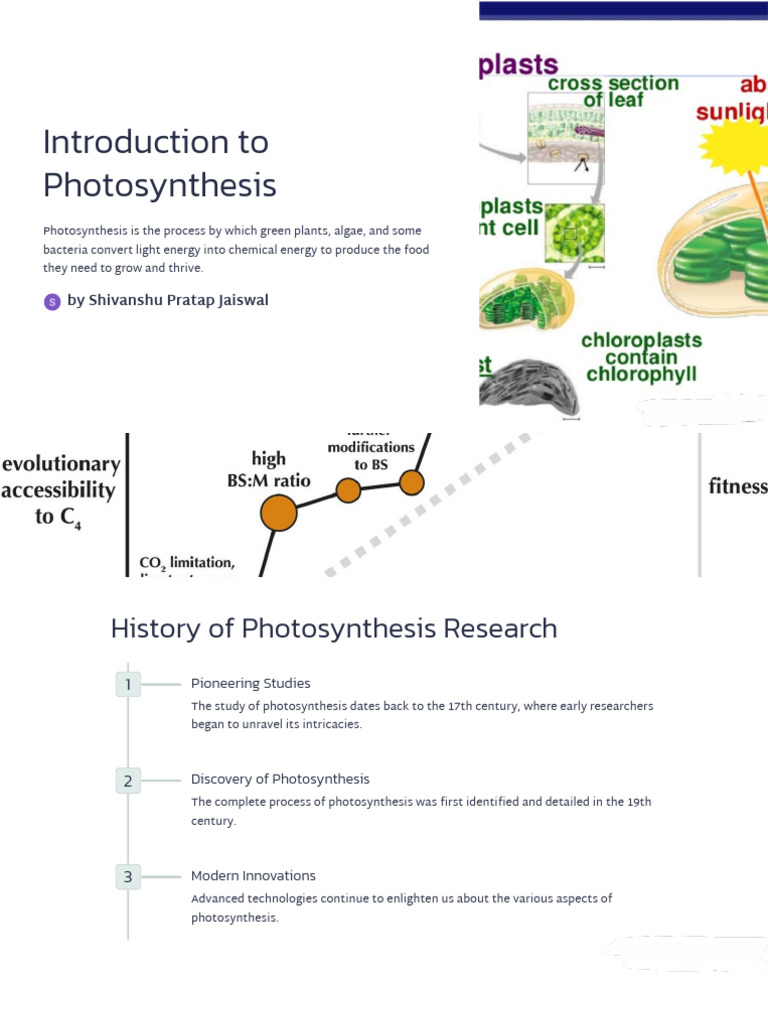 Biology Assignment | PDF | Photosynthesis | Physiology