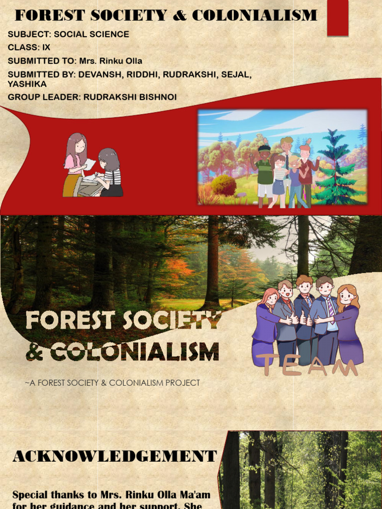 Forest Society & Colonialism | PDF | Forests | Forestry