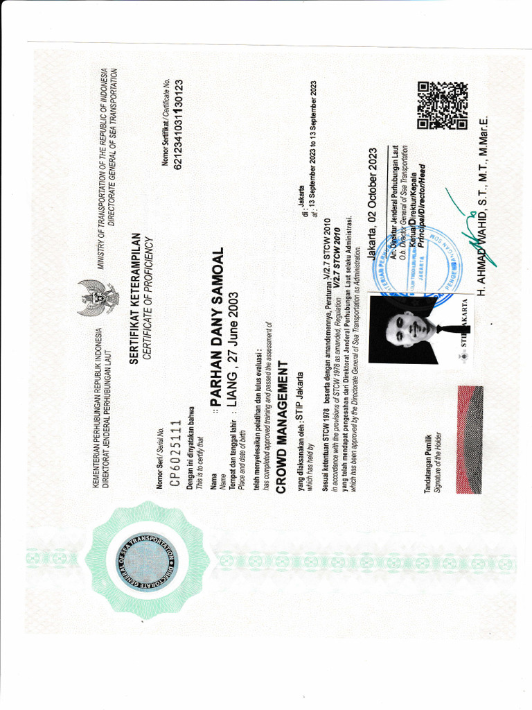 Ffiffi: L Ples | PDF