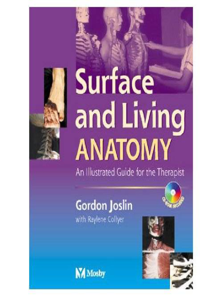 Joslin G Collyer R Surface and Living Anatomy An Illustrated | PDF