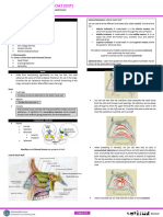 Anatomy of the Osteomeatal Complex | PDF | Human Nose | Human Head And Neck