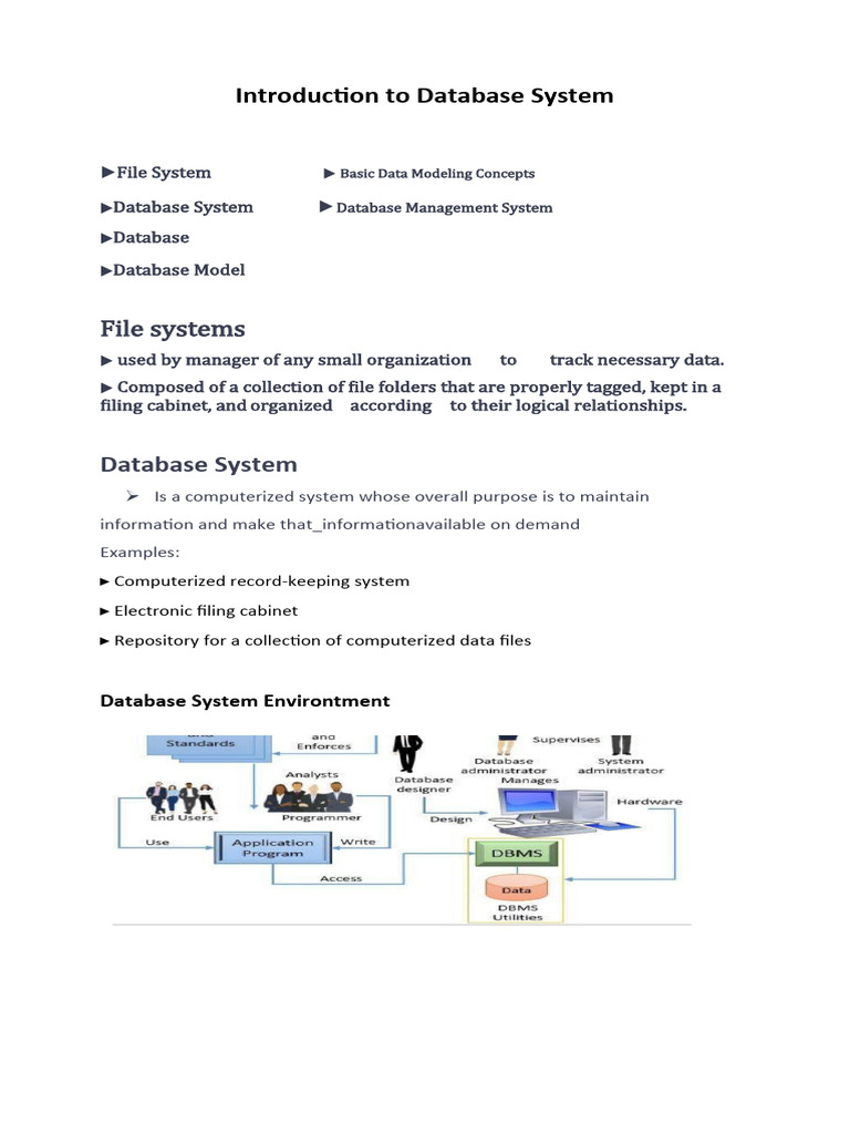 Introduction To Database System | PDF | Databases | Relational Model