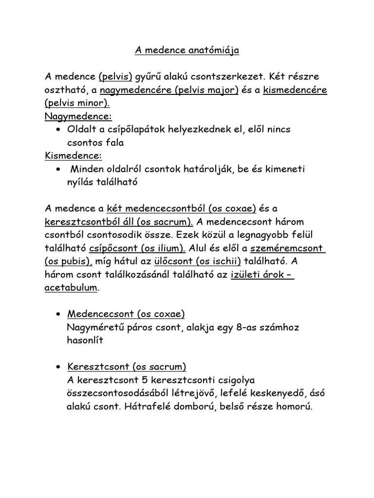 A Medence Anatómiája | PDF