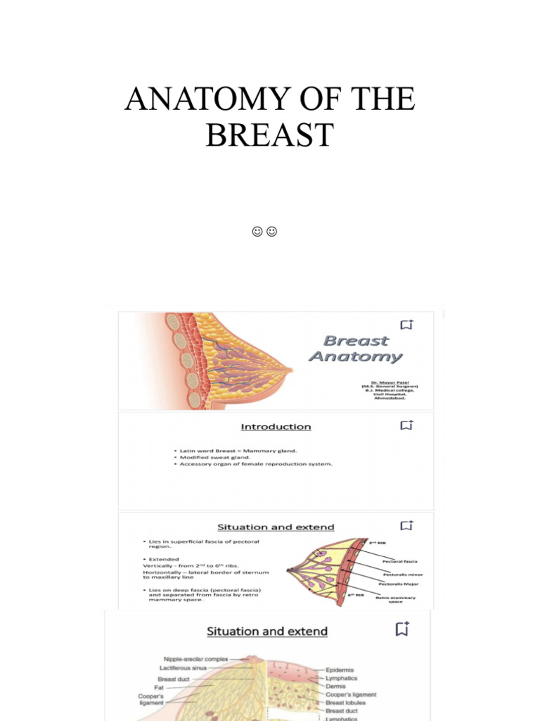 Breast Anatomy | PDF