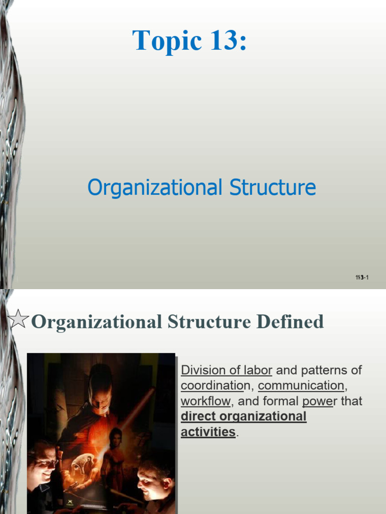 Understanding Organizational Structure Elements | PDF | Organizational ...