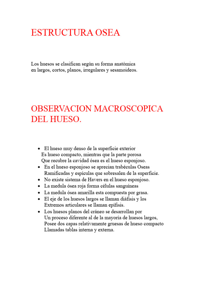 Estructura Osea Pdf Hueso Morfología Biología