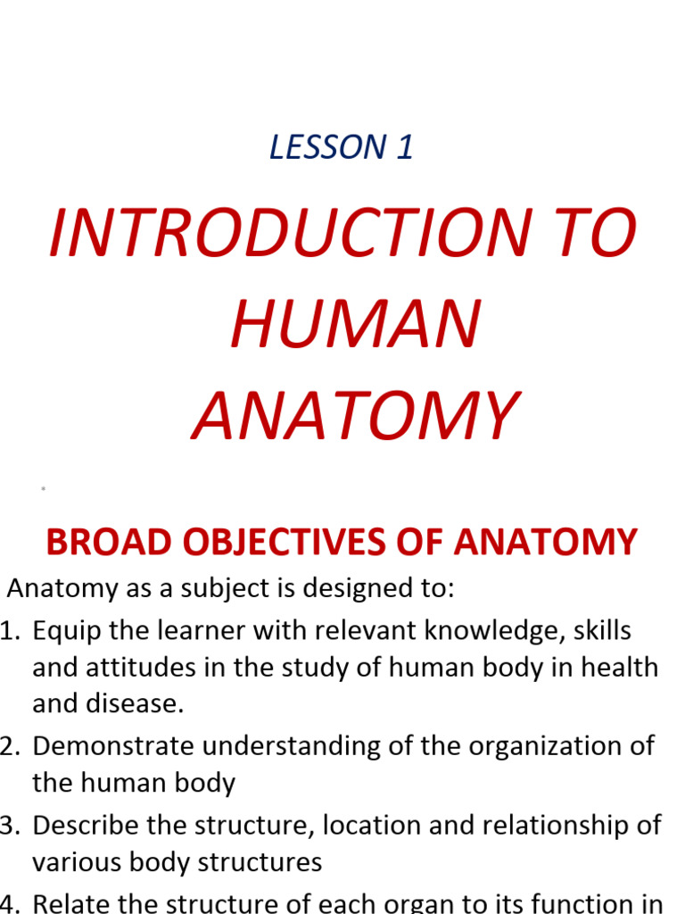 Introduction to Human Anatomy Basics | PDF | Anatomical Terms Of ...