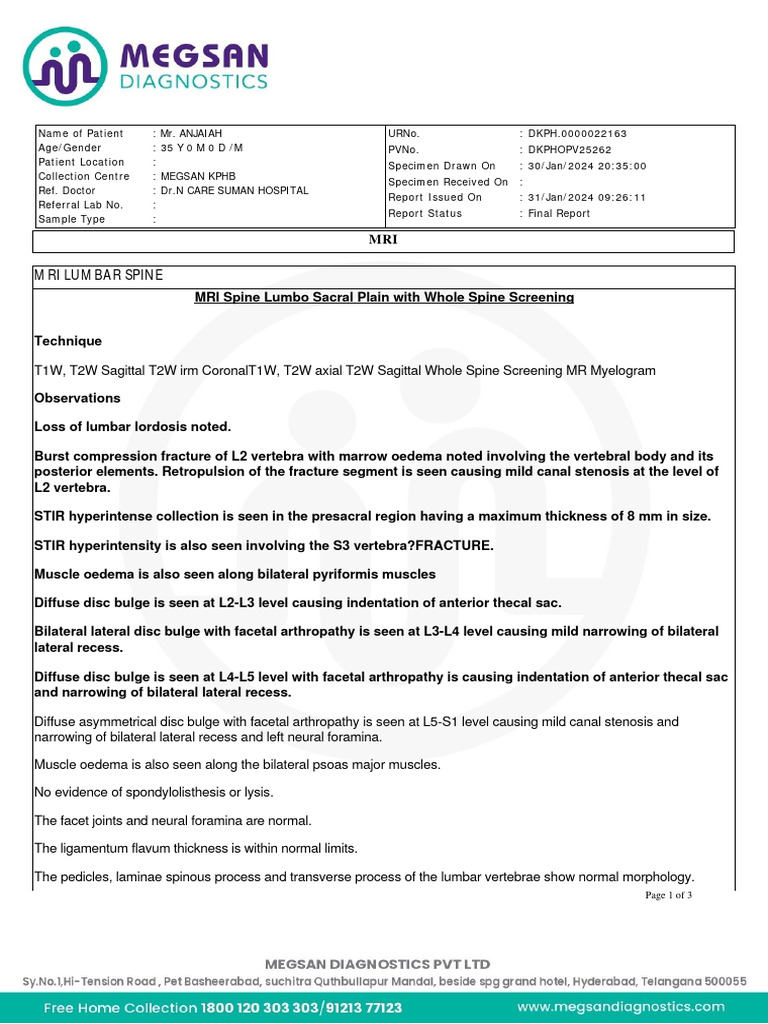 Your Lab Reports | PDF | Vertebra | Vertebral Column