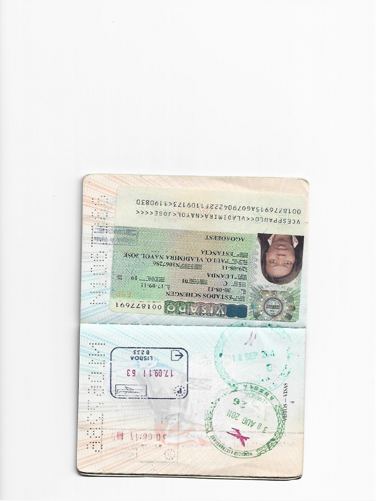 Vistos VLADIMIRA | PDF