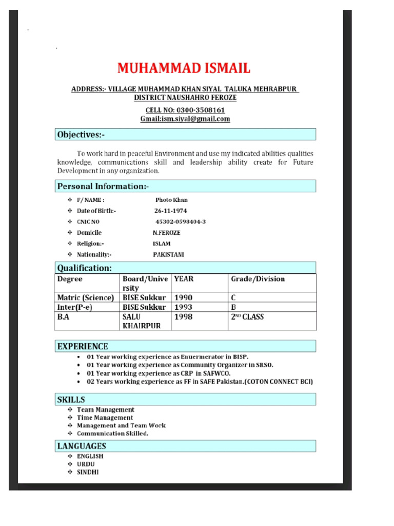 CV Ismail Siyal | PDF