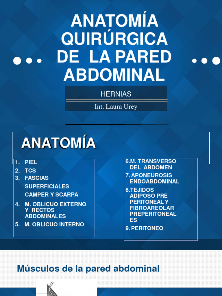 Hernias de La Pared Abdominal | PDF | Abdomen | Anatomía