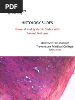 Netter - Atlas of Human Anatomy | PDF | Abdomen | Pelvis