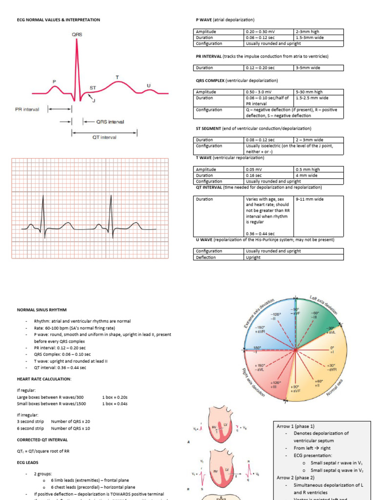 ECG Normal Values and Interpretations | PDF | Electrocardiography | Heart