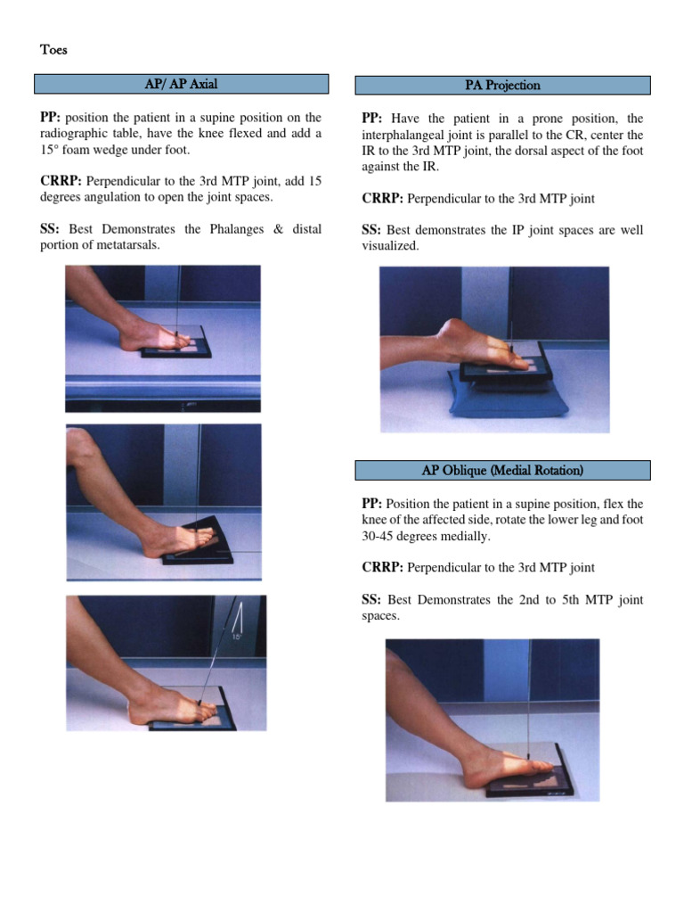 Posi Lower EX | PDF | Foot | Human Leg