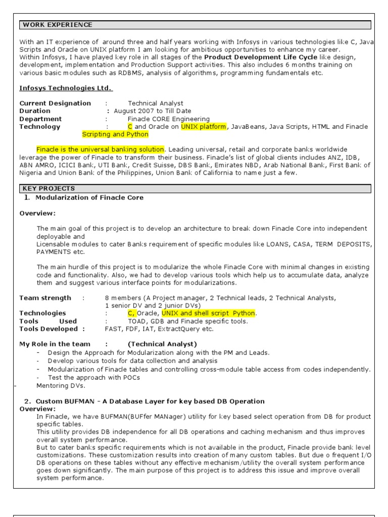Sample Profile | PDF | Computer Programming | Information Technology Management