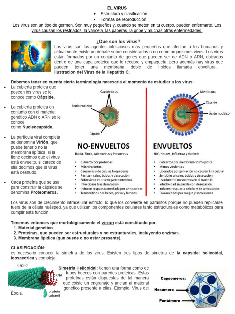 Estructura Y Reproducción De Virus Pdf Virus Virología