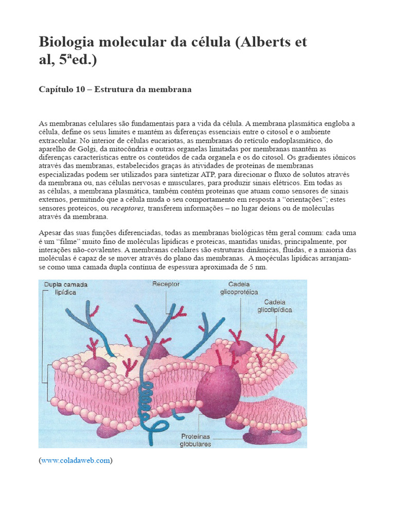 Biologia Molecular Da Célula (Alberts Et Al, 5 Ed.) | PDF | Membrana ...