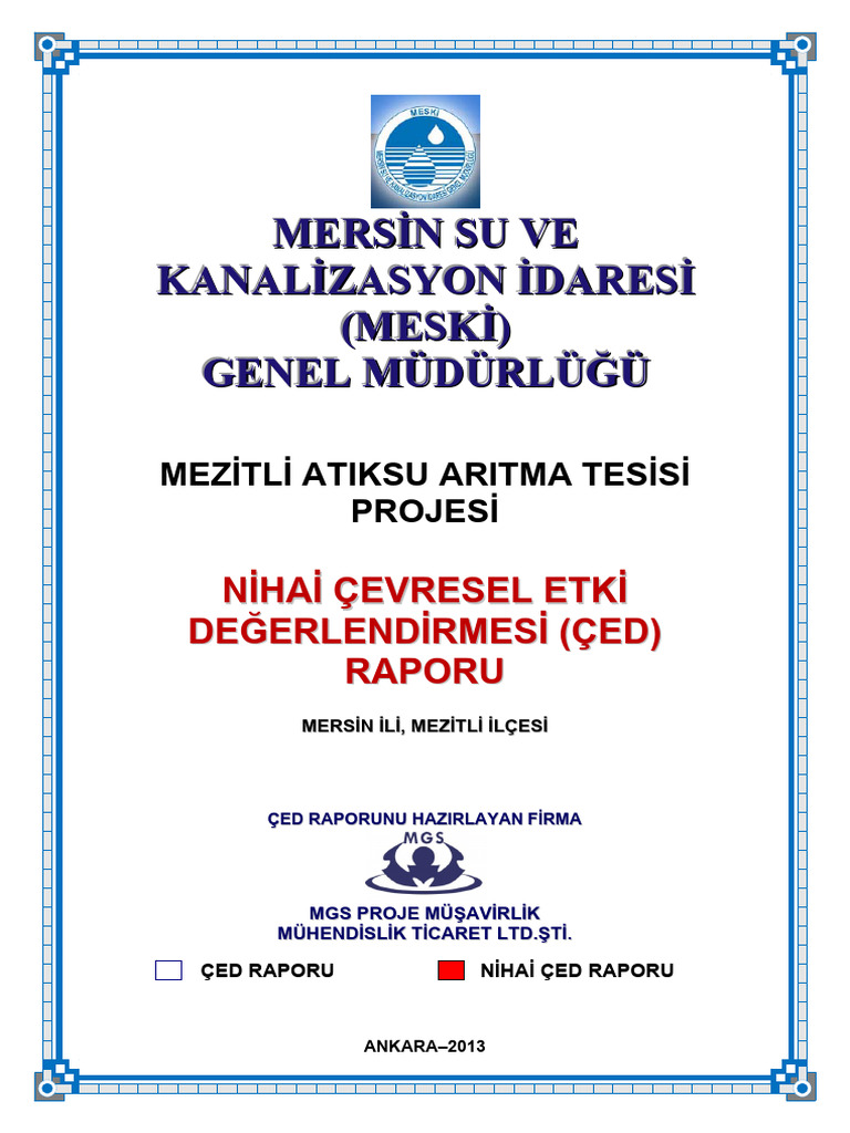 Ced Raporu | PDF