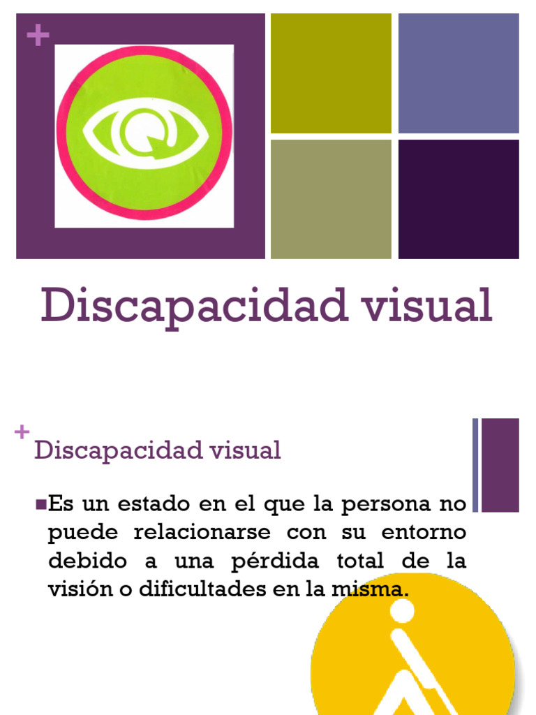 Tipos y causas de discapacidad visual | PDF | Percepción visual ...