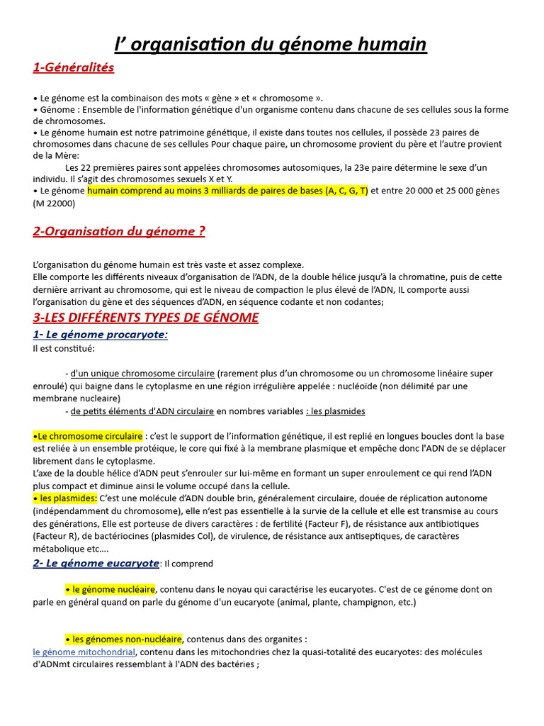 Organisation Du Genome | PDF | Opéron | Gène
