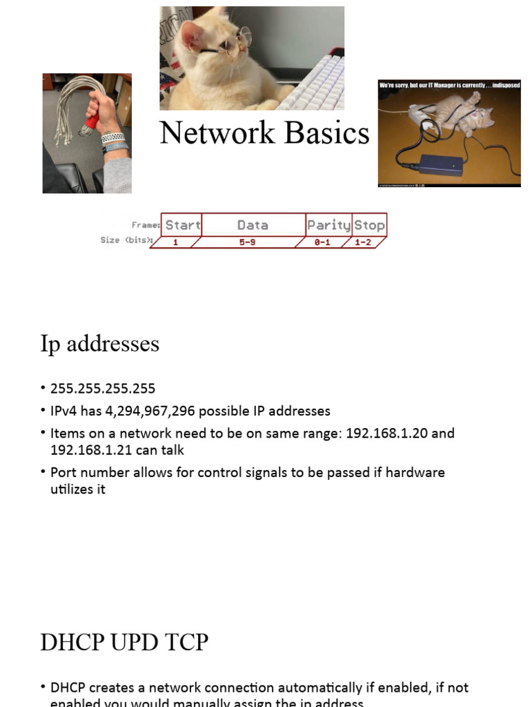 Network Basics | PDF