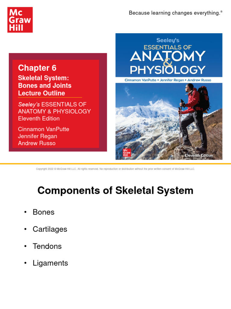 Chapter 6 Skeletal System | PDF | Vertebral Column | Bone