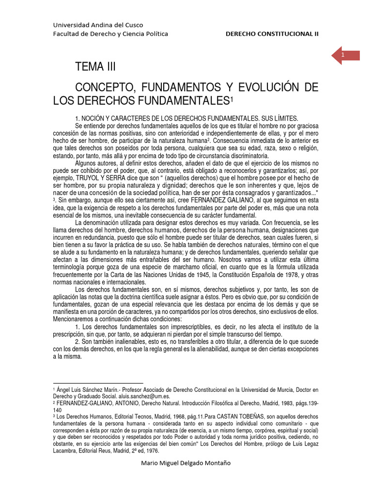Derechos Fundamentales: Conceptos y Límites | PDF | Derechos humanos ...