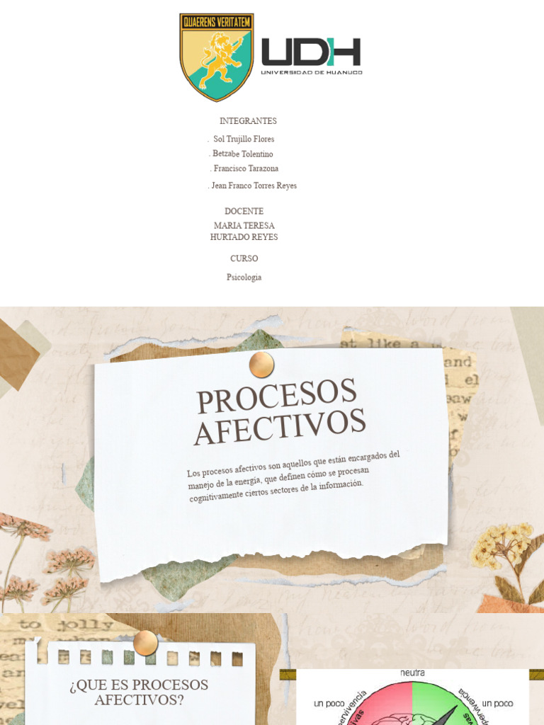 Procesos Afectivos | PDF | Neurociencia | Procesos mentales