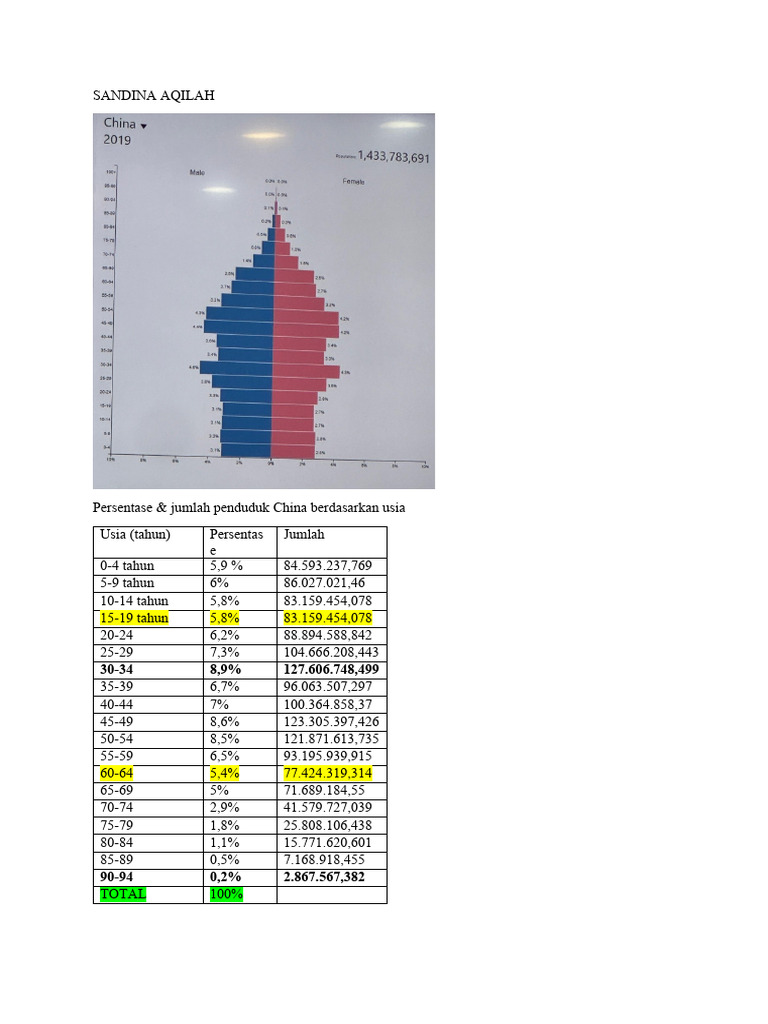Piramida Penduduk | PDF
