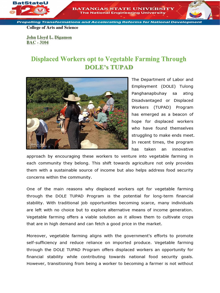 Tupad Program | PDF | Agriculture | Unemployment Benefits