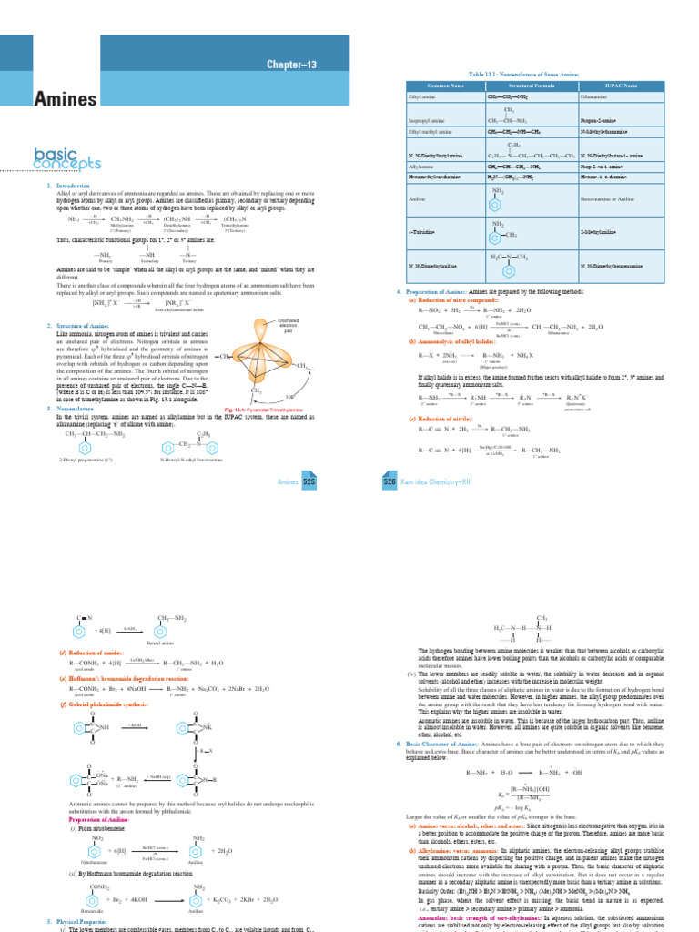 Amines Print PDF | PDF | Amine | Methyl Group