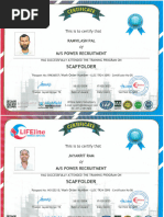 Webbing Sling-Certificate Updated | PDF | Legal Liability | Private Law