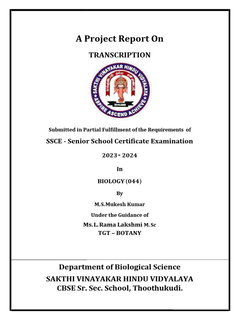 Transcription Project for Class 12 Biology | PDF | Rna | Dna