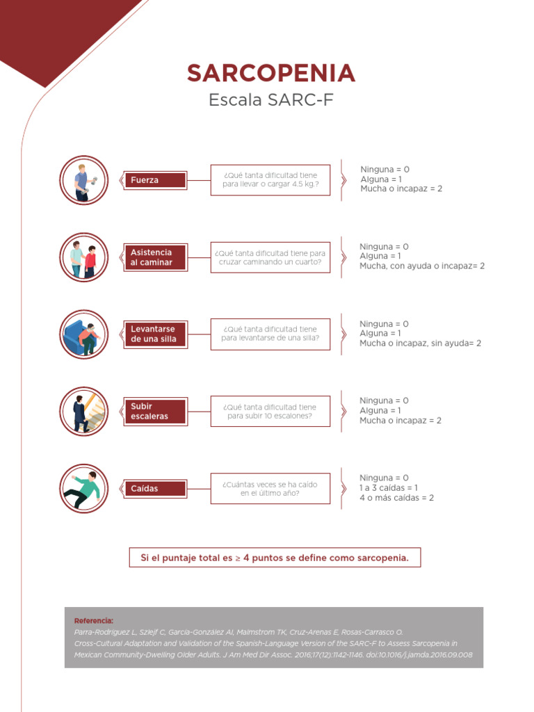 SARCOPENIA. Escala SARC-F | Descargar gratis PDF | Gerontología | Desordenes metabólicos