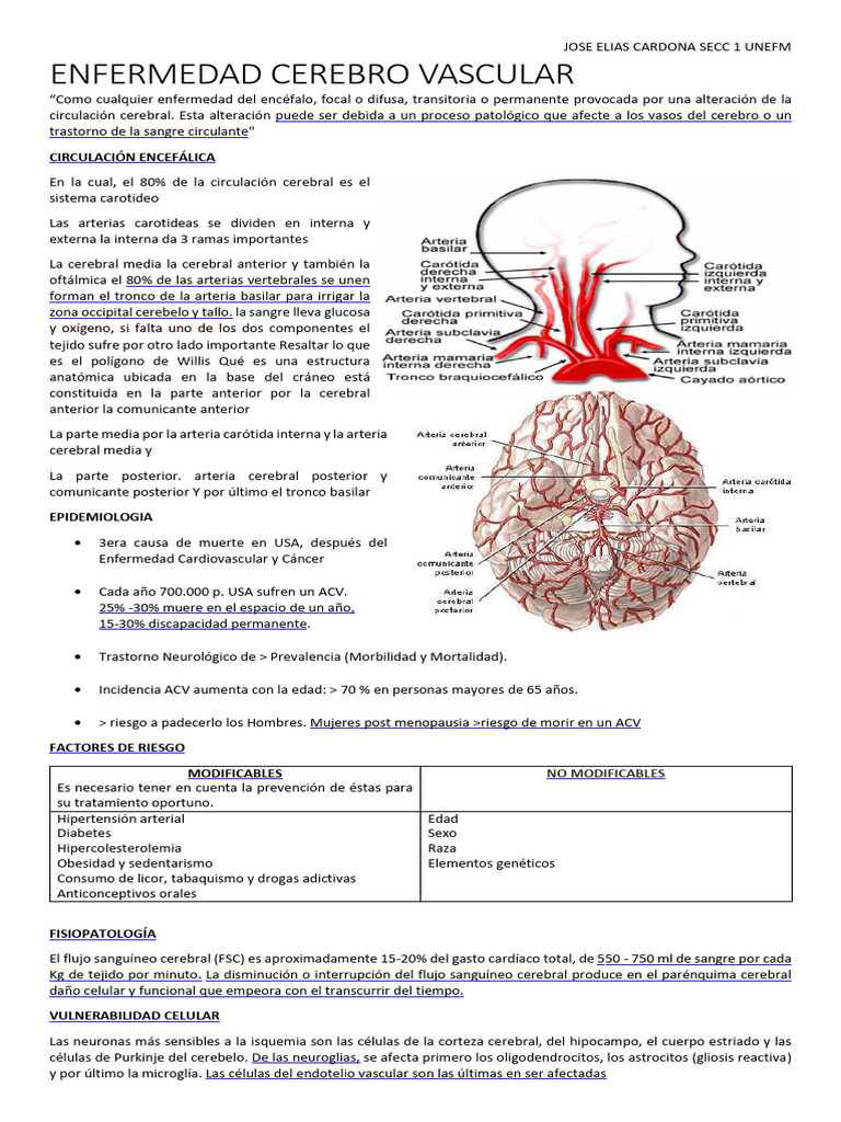 Tema 7. Enfermedad Cerebro Vascular | PDF | Isquemia | Carrera