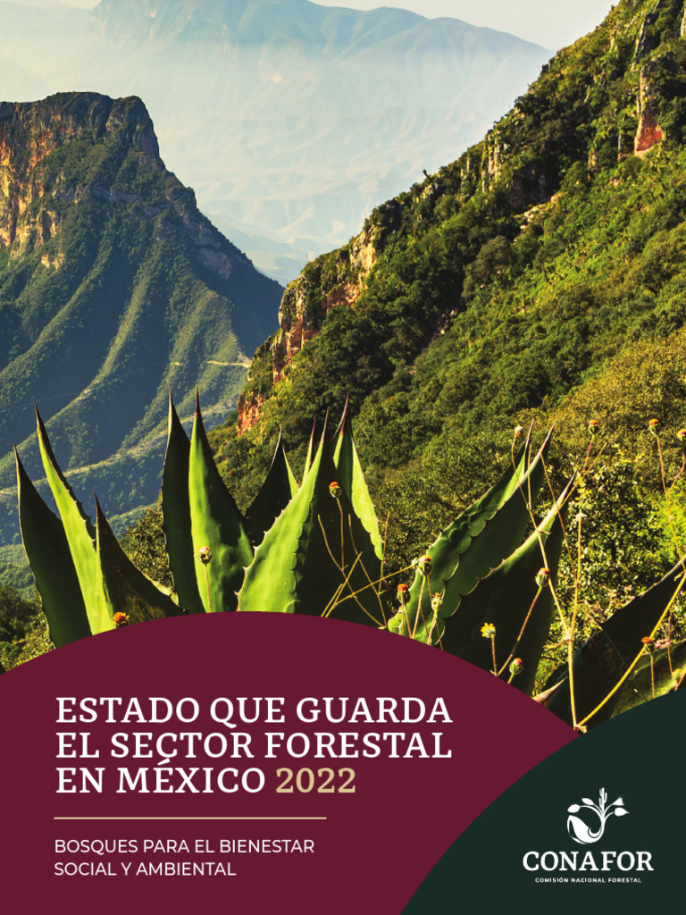 Estudio Que Guarda El Sector Forestal en Mexico | PDF | México ...