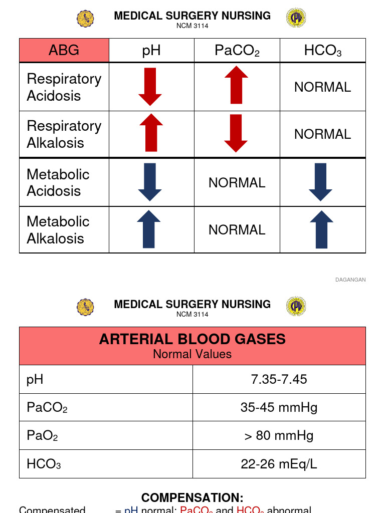 ABG & Electrolyte Nursing Guide | PDF | Clinical Medicine | Medical ...