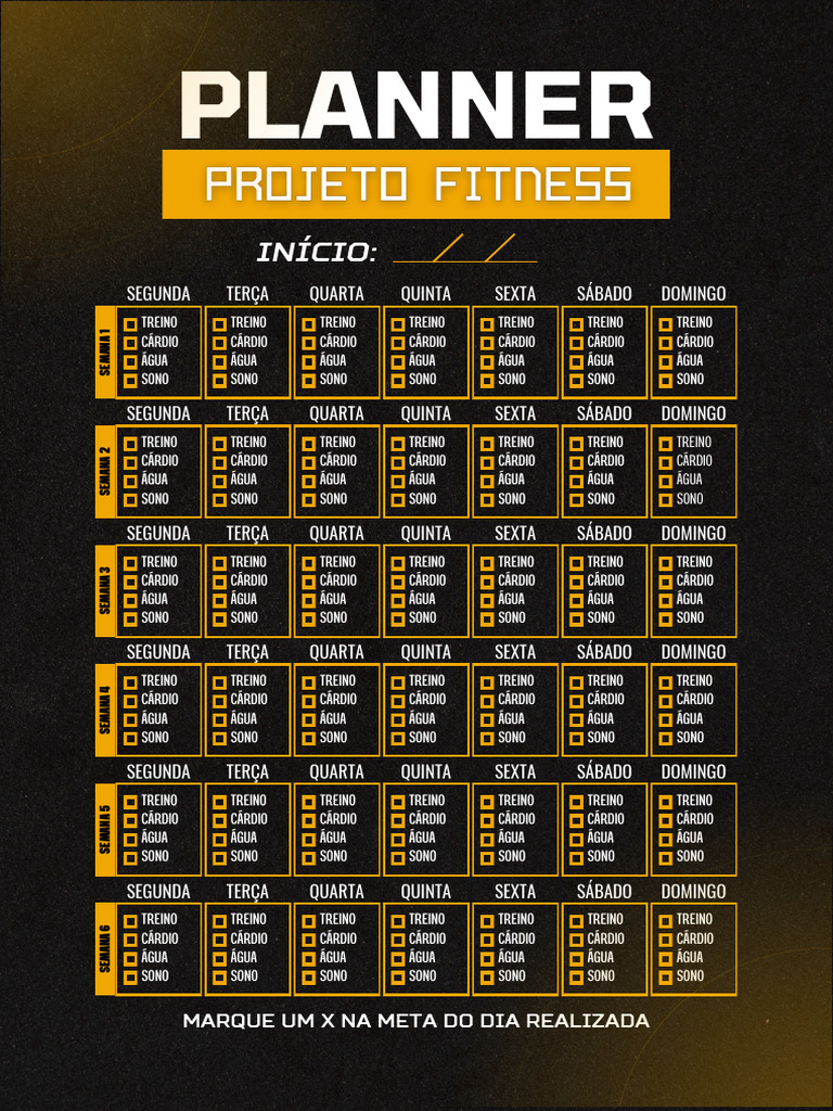 Planner Projeto Fitness Moderno Com Metas | PDF
