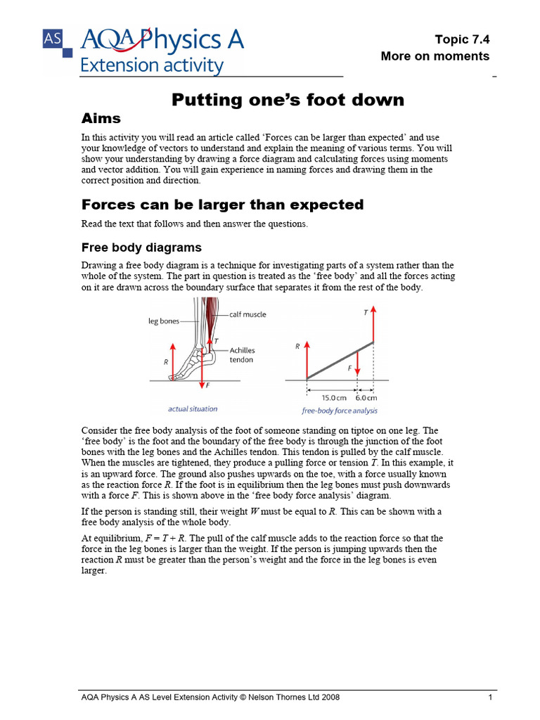 7 4 Putting Your Foot Down Extension | PDF | Force | Foot