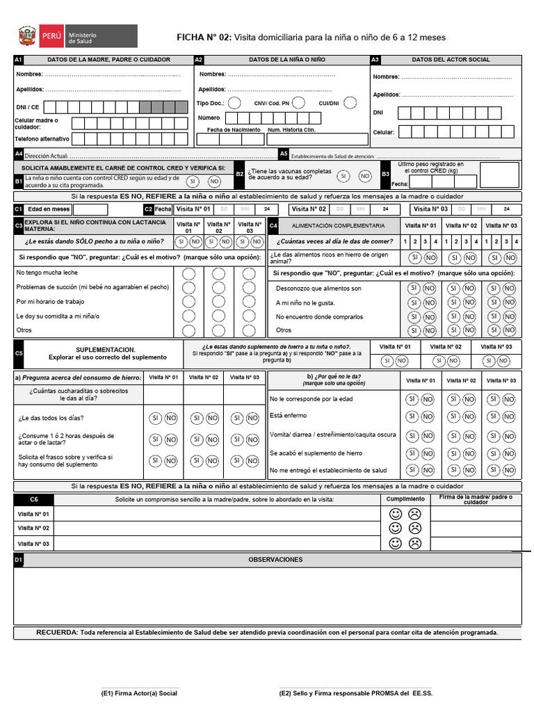 Ficha 02 - Niños 6 A 12 Meses Rev 2.0 | Descargar gratis PDF | Especialidades Medicas | Nutrición